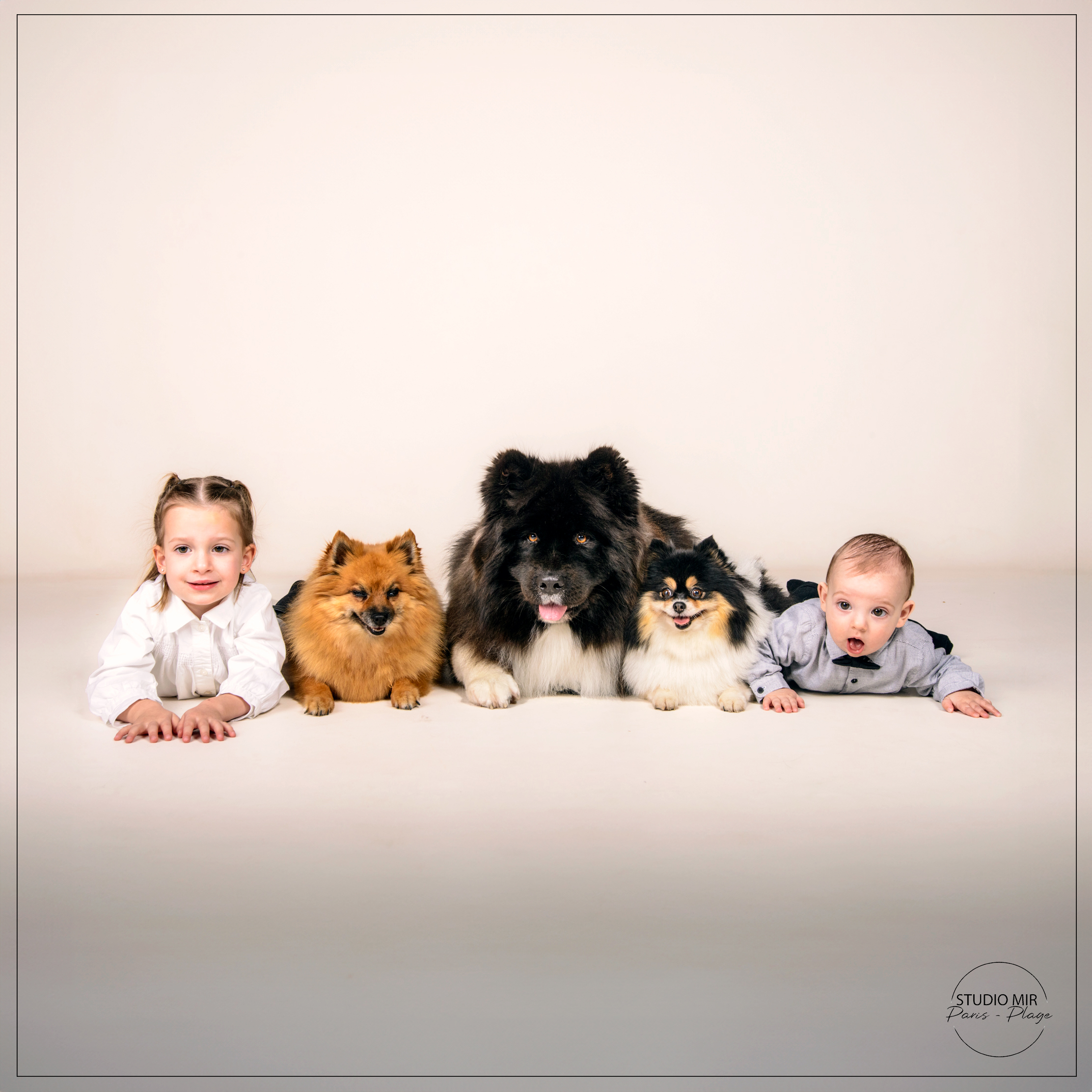 Séance photo avec vos animaux en région parisienne - Studio Mir ...